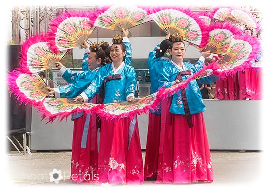 A Spring Festival Spectacular in Yeouido, South Korea