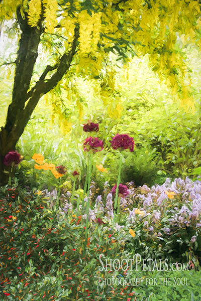 Botanical Gardens. How Do I Love Them? Let Me Count the Ways!